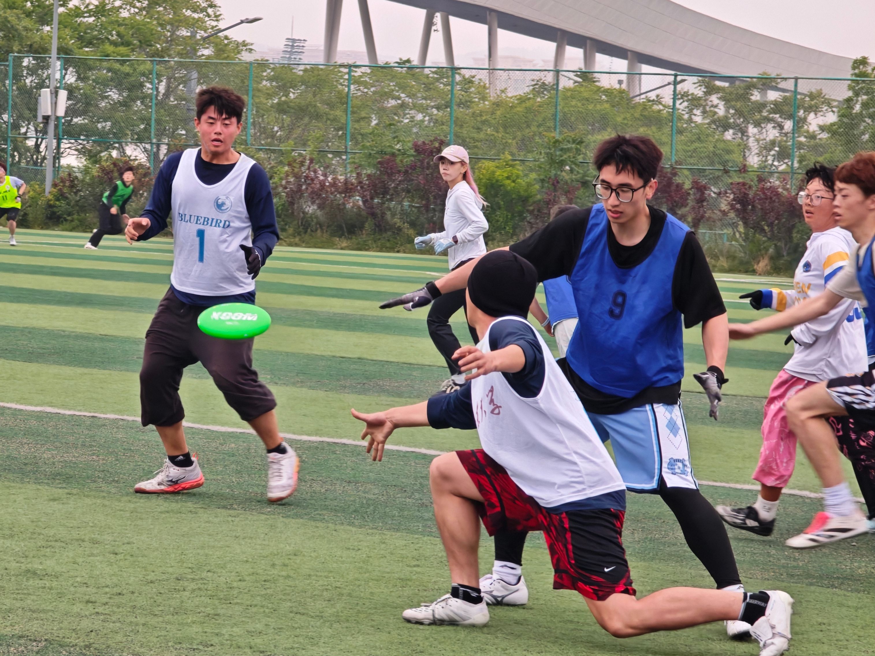 2026年山东大学（青岛）“山大杯”极限飞盘公开赛圆满落幕-山东大学体育学院（青岛）